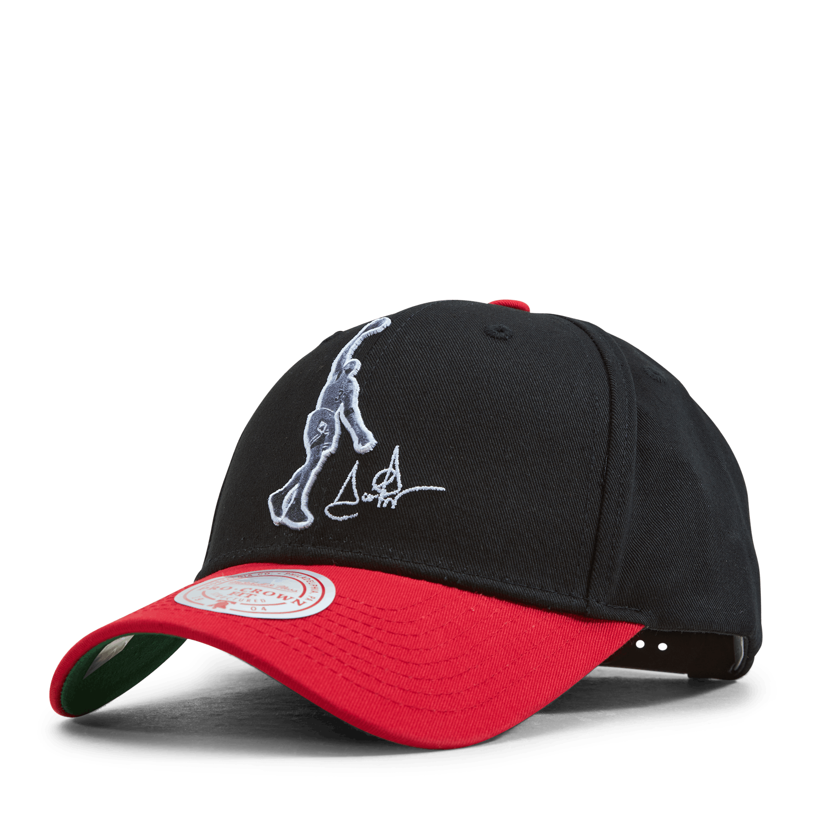 Bulls Highlight Real Snapback - Pippen - Mitchell & Ness – Thesolestory.com
